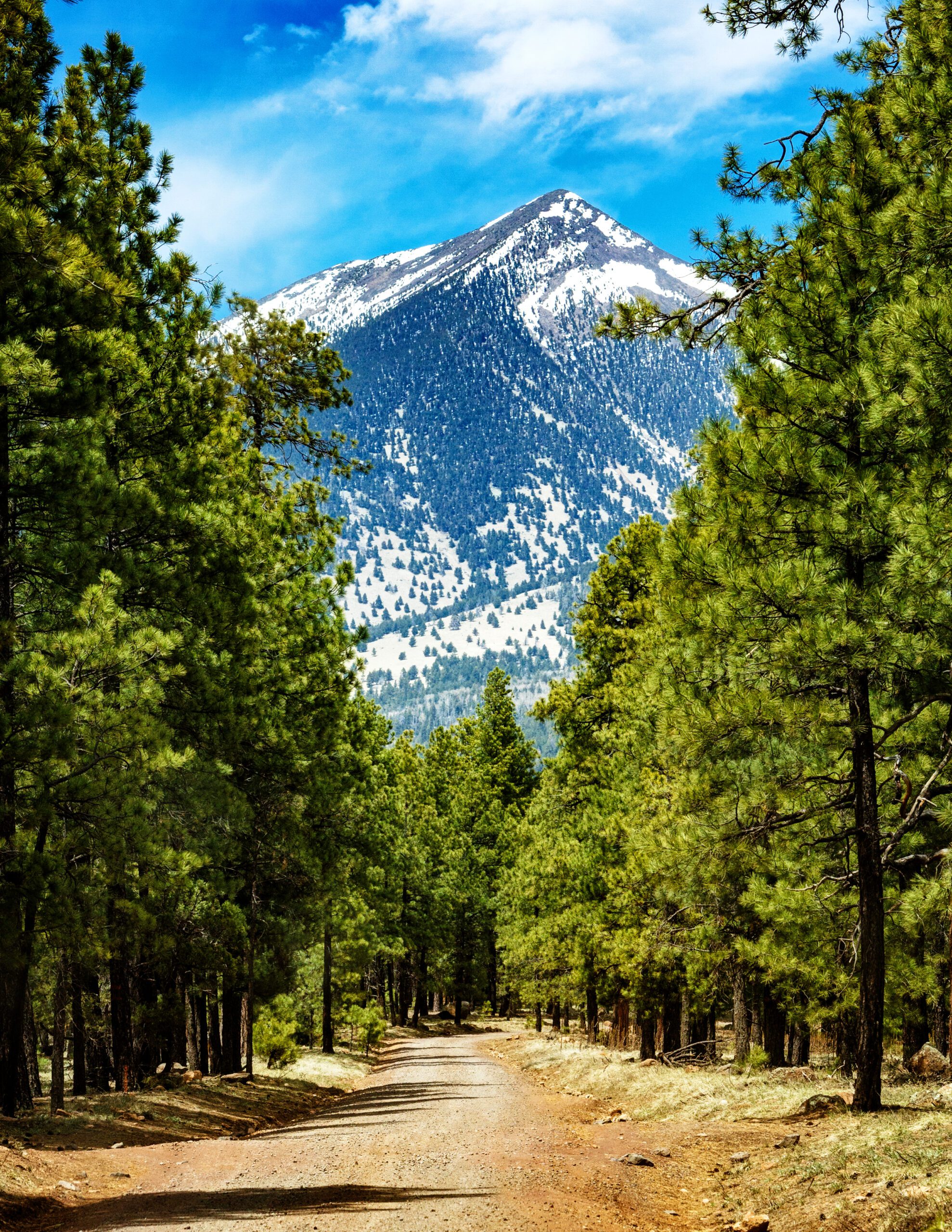 About Another Plumbing Company in Flagstaff, AZ